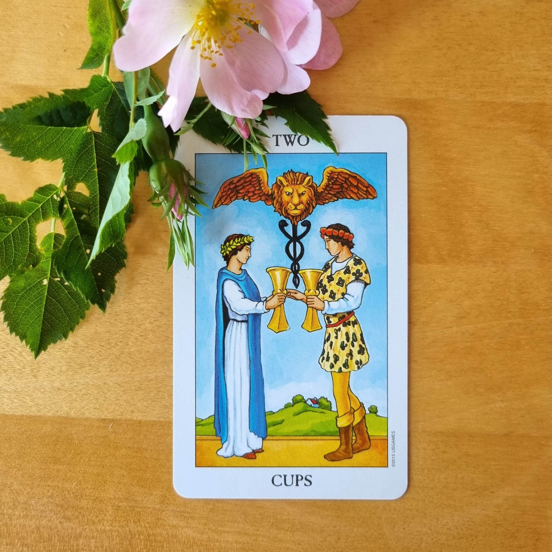 Tarot Cards That Indicate a Twin Flame – Sage's Lantern Tarot