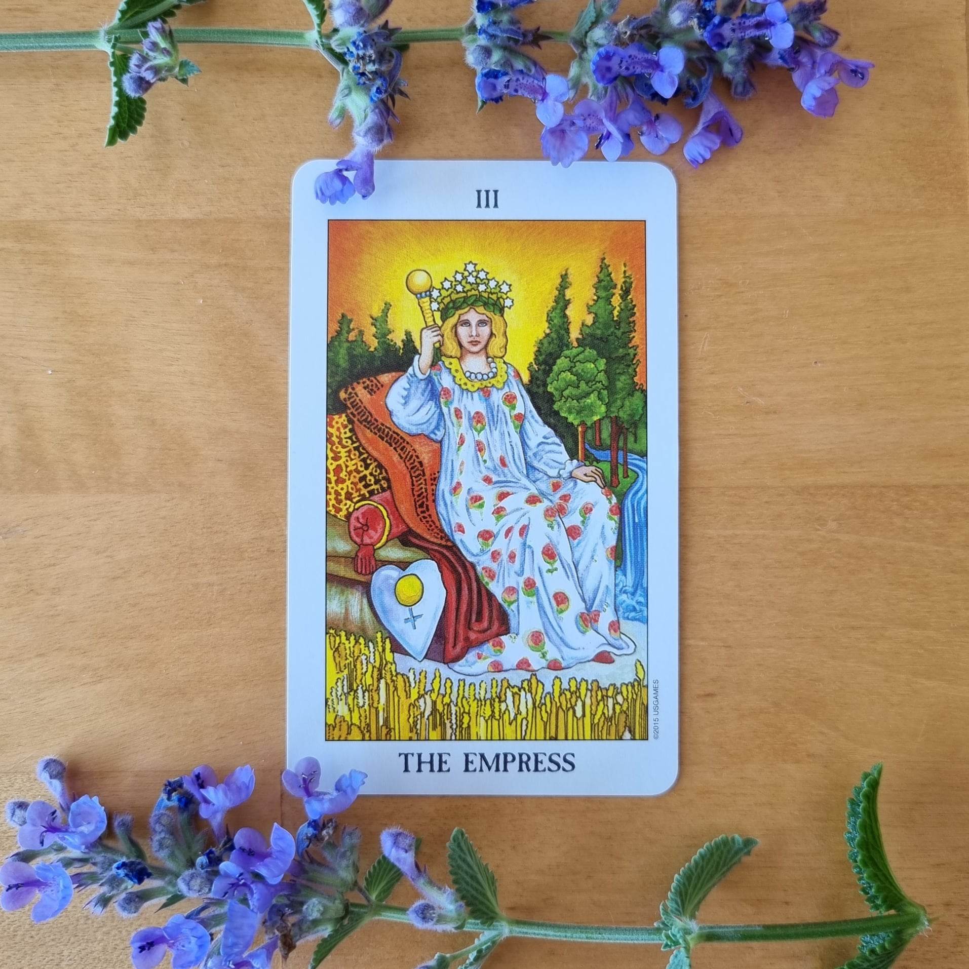 Tarot Card Pull: What It Is And How To Do It – Sage's Lantern Tarot
